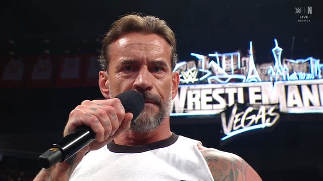 WWE Announces CM Punk For Fanatics Fest