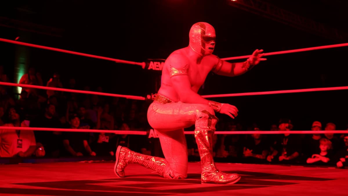 Update On Hologram's AEW Status