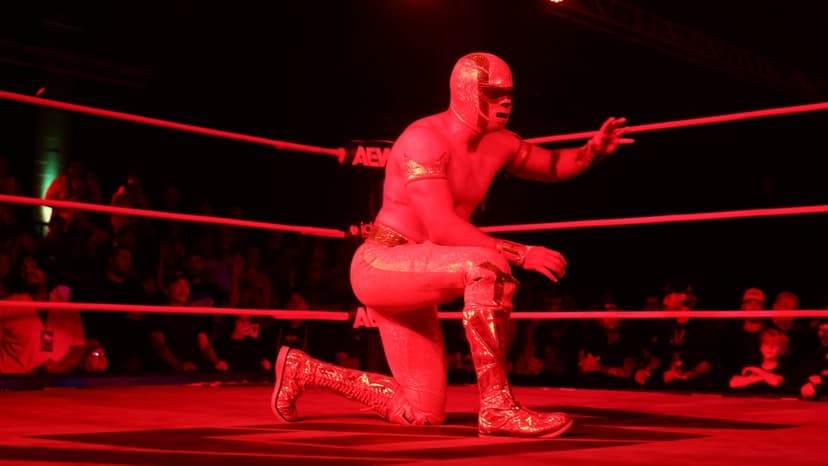 Update On Hologram's AEW Status