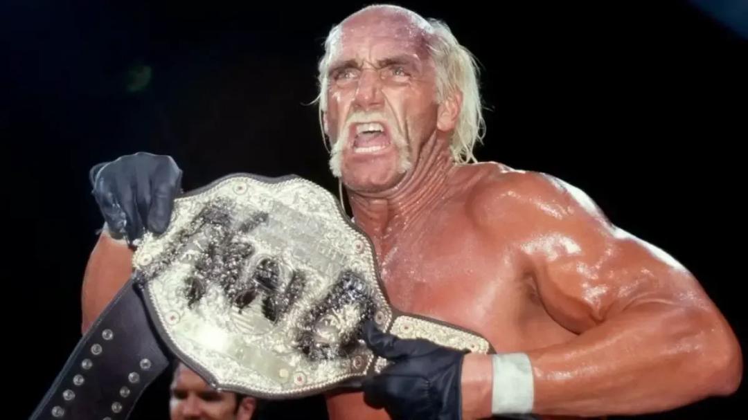 Petition Filed by Hulk Hogan's Family Signalling Possible Malpractice Suit